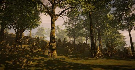 Mobile Tree Pack 13 3d Trees Unity Asset Store