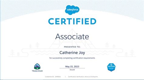 Catherine Joy On Linkedin I Have Earned My Salesforce Associate Certification