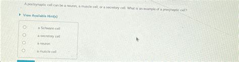 Solved A Postsynaptic Cell Can Be A Neuron A Muscle Cell