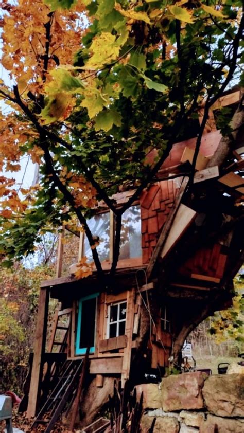 work in progress treehouse in fall
