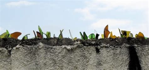 Never Forget To Lock Your Front Door Page 2 Resetera