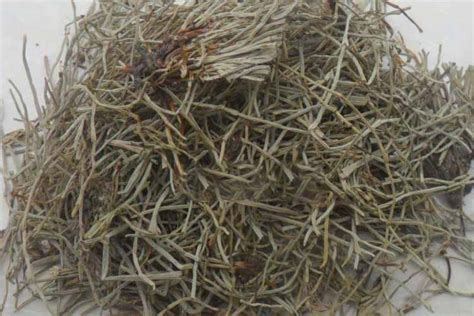 Wen Jing Wenjing Wen Jing Tang Wen Jing Pian For Sale Native Chinese