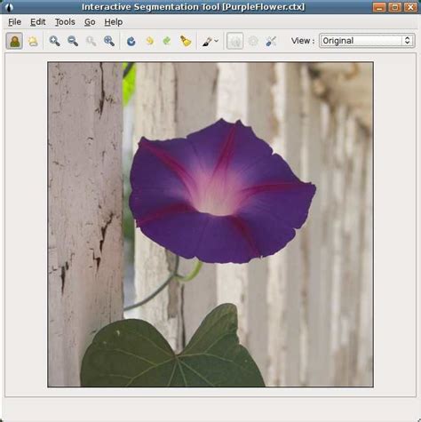 screenshots of the interactive segmentation tool running on the linux