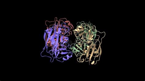 Structure Of Streptococcus Pyogenes Cas9 In Complex With Guide Rna