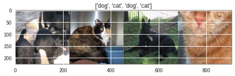 Deep View On Transfer Learning With Iamge Classification Pytorch Purnasai G