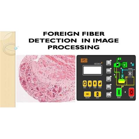 Foreign Fiber Detection In Cotton Using Hsi Approach Techpacs Canada Limited