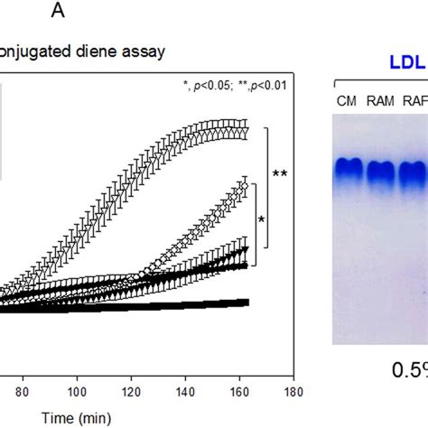 Comparison Of Ldl Oxidation Susceptibility By Determination Of Download Scientific Diagram