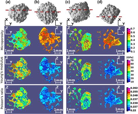 Spatial Distributions Of Voxel Specific Microporosity And Elastic Download Scientific Diagram