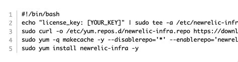 Installing The Infrastructure Agent On AWS Observability Experts