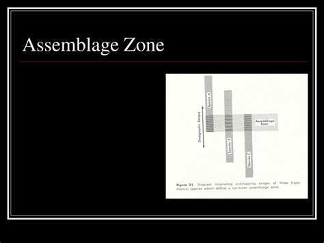 Ppt Biostratigraphy Powerpoint Presentation Free Download Id 3103609