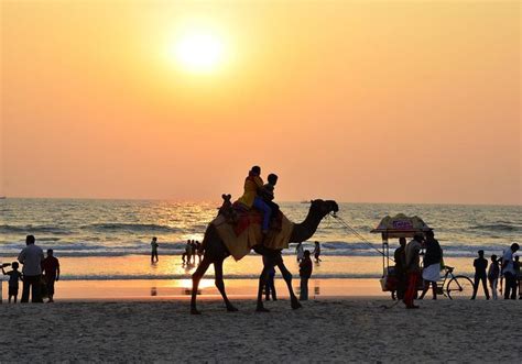 payyambalam beach in kannur photo by bibin sebastian photo background