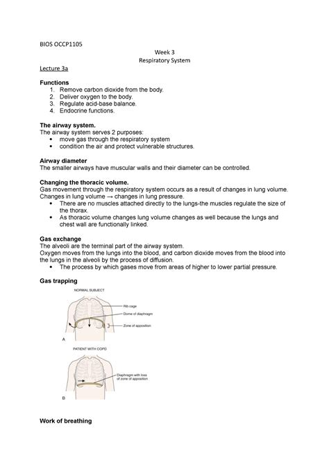Bios Occp1105 Week 3 Bios Week 3 Lecture Notes Cardiovascular System