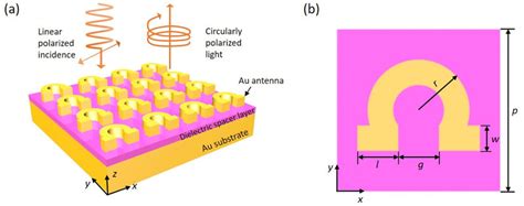 A Schematic Of The Ultrathin Reflective Type Polarization Converter Download Scientific