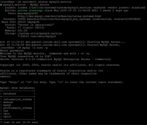 Creating A Dev Database From The Prod Snapshot Mysql Innodb Cluster