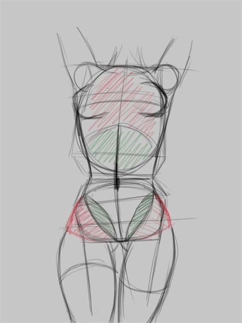 Como Dibujar Un Cuerpo De Estilo Anime Anatomy Drawing Anatomy Art Figure Drawing Reference