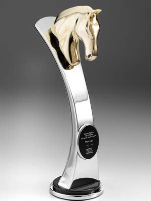 Order Custom Sports Trophies And Medals Online Design Awards