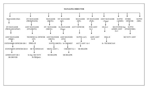 Organisation Chart Bemul