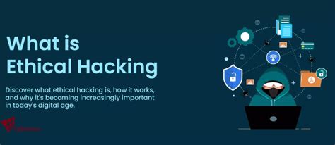 Softronixs System Ltd On Linkedin Softronixs Ethicalhacking