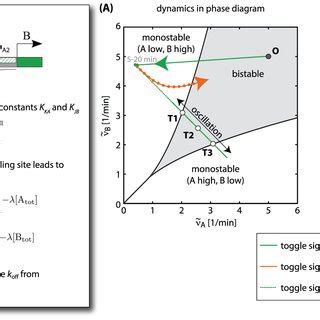 Simple JK Latch Fails To Perform Toggle Operation Box Model Of The Download Scientific