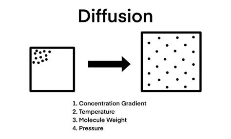 The Process Of Diffusion Particles Move Stock Illustration Download