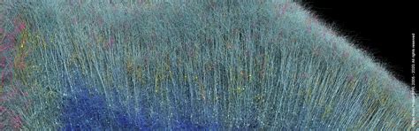 The Multi Scale Brain Blue Brain Project