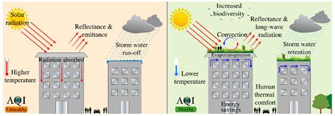Green Roof Sustainability Diagram Sustainability Meets Design In Bmis