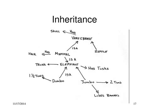 Ppt Semantic Networks Powerpoint Presentation Free Download Id6720796