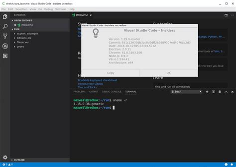 Font Rendering Scaling Issue In Linux Integrated Terminal Issue Microsoft Vscode