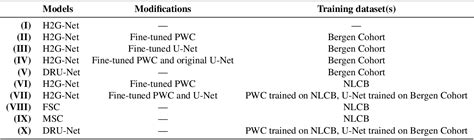 Segmentation Of Non Small Cell Lung Carcinomas Introducing Dru Net And Multi Lens Distortion