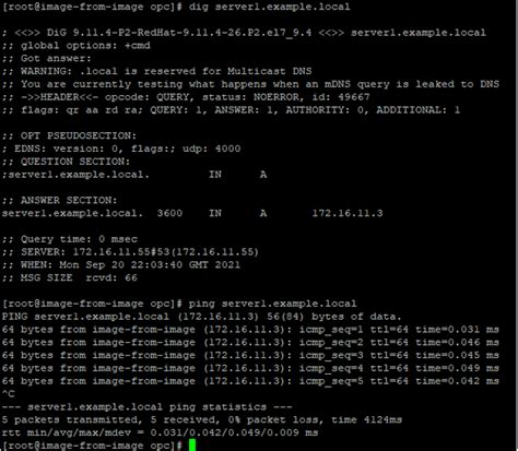 Configure Two Way Domain Name Resolution For Oci And On Premises Services