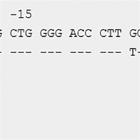 alignment of the sequence of exon 1 of dqa1 05 13 with the sequence of