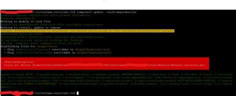 How To Fix The Error RuntimeException Could Not Delete Default Services Yml 3253424