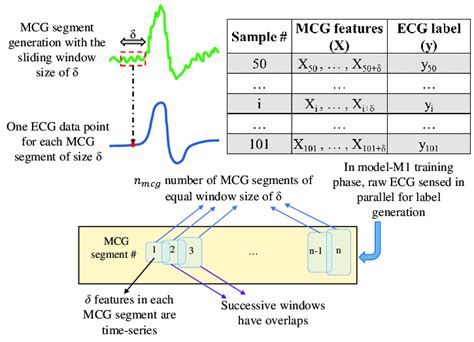 Data Preprocessing Methodology For Non Intrusive Mcg To Ecg Noise