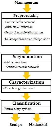 Proposed Microcalcifications Cad System Download Scientific Diagram