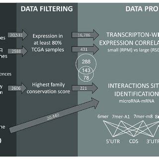 Data Analysis Pipeline Data Analysis Pipeline Download Scientific Diagram