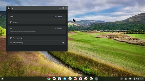 how to download linux on chromebook 2021 at david roberts blog