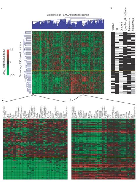 Cancer Subtype Classification Genome Scale Modelling