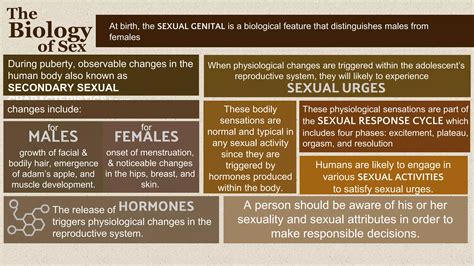 UTS MODULE Section Pptx