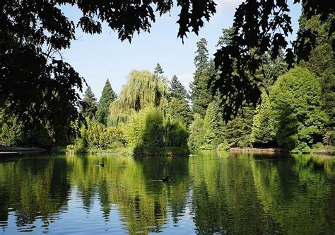 Best Things To Do In Portland Oregon Real Talk Adventures