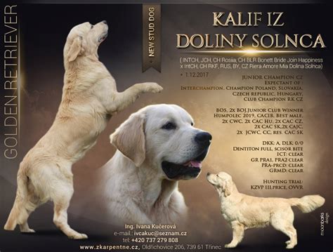 Kalif Iz Doliny Solnca - zkarpentne.cz