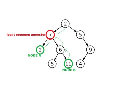 Binary Lifting Technique And The Least Common Ancestor Problem