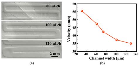 A Wearable Electrochemical Sensor Based On A Molecularly Imprinted Polymer Integrated With A
