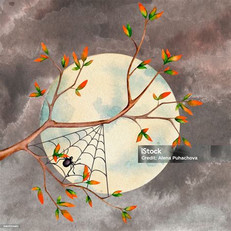 달과 밤하늘을 배경으로 거미가 있는 나뭇가지 할로윈 삽화 엽서 포스터 초대장을 위한 수채화 구성 10월에 대한 스톡 벡터 아트 및 기타 이미지 Istock