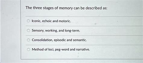 Solved The Three Stages Of Memory Can Be Described As Iconic Echoic And Motoric Sensory