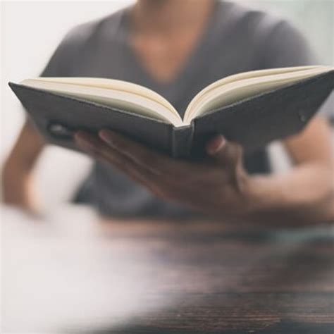 Portfolio Program And Project P3m Maturity Assessment Rxbiopro