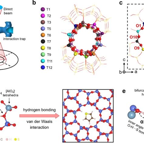 A Schematic Diagram Of Idpc Stem Used For Single Molecule Imaging