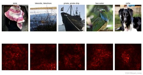 【pytorch】visualization of feature maps（4）——saliency maps csdn博客