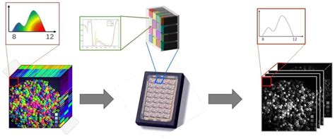基于超表面结构紧凑型长波红外多光谱探测器件设计方法
