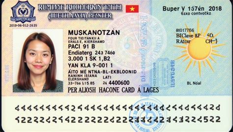 Realistic Vietnam Migration Card Prompts Stable Diffusion Online