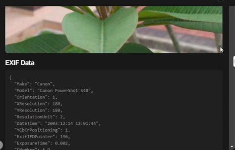 Extract Exif Metadata From Image With Ai Component Community